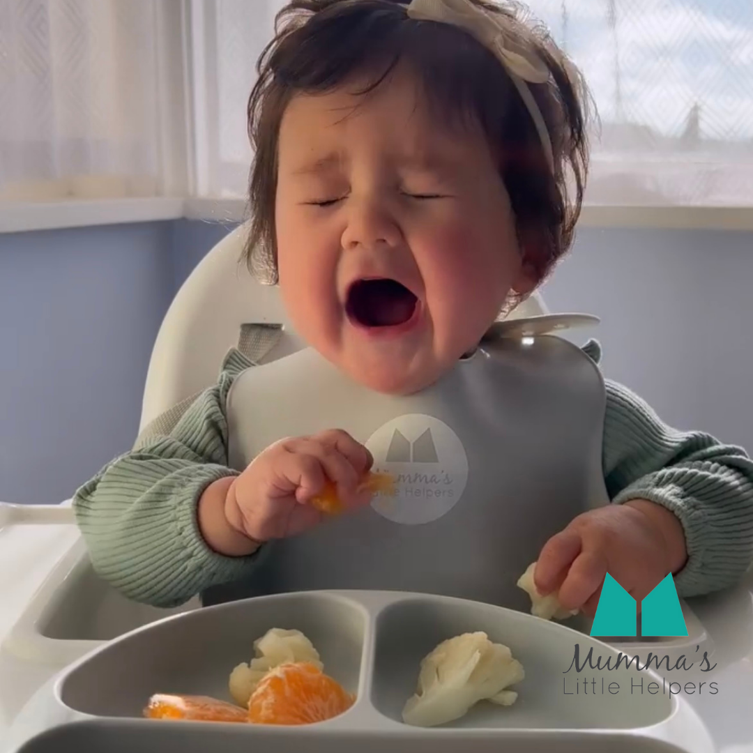 My Top Tips for Introducing New Foods to your Baby – Mumma’s Little Helpers